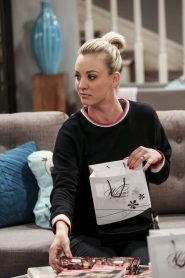 THE BIG BANG THEORY Season 11 Episode 23 Photos The Sibling Realignment ...