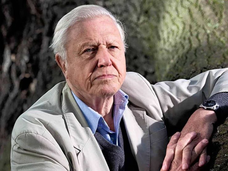 Sir David Attenborough Voices New Netflix Series OUR PLANET | Seat42F