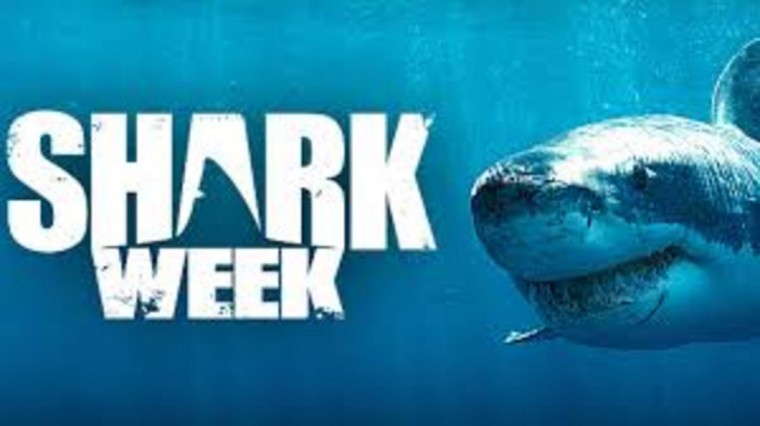 SHARK WEEK 2020 Swims Onto Television Screens Sunday, August 9 | Seat42F