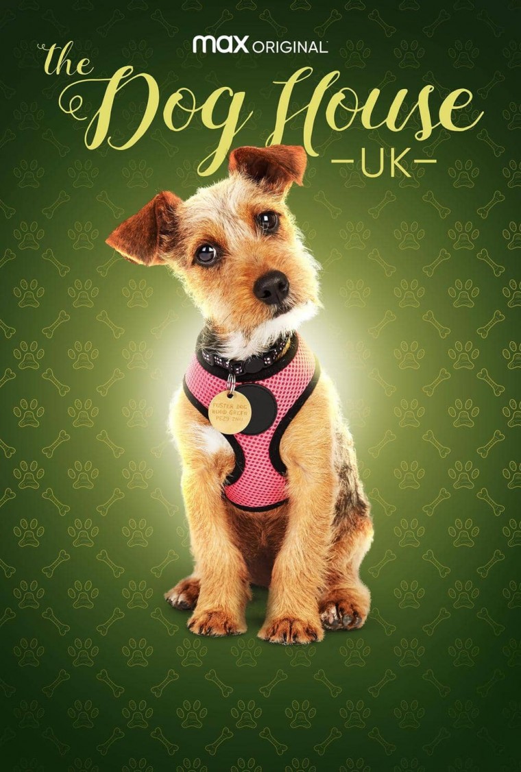 HBO Max Debuts THE DOG HOUSE: UK Trailer And Key Art | Seat42F