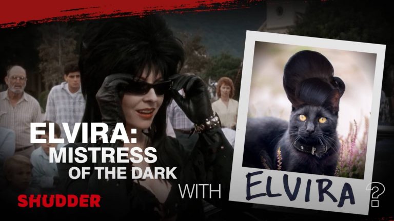 AMC’S Annual Horror Marathon Fearfest Becomes Furfest With Adopt-A-Pet ...