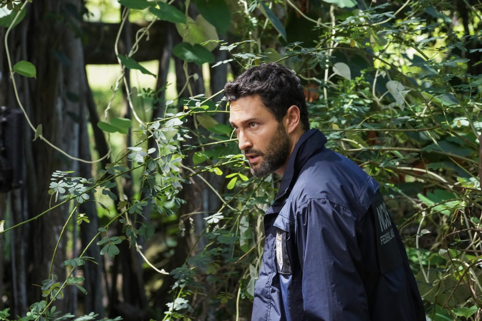 NCIS HAWAII Season 2 Episode 4 Photos Primal Fear | Seat42F