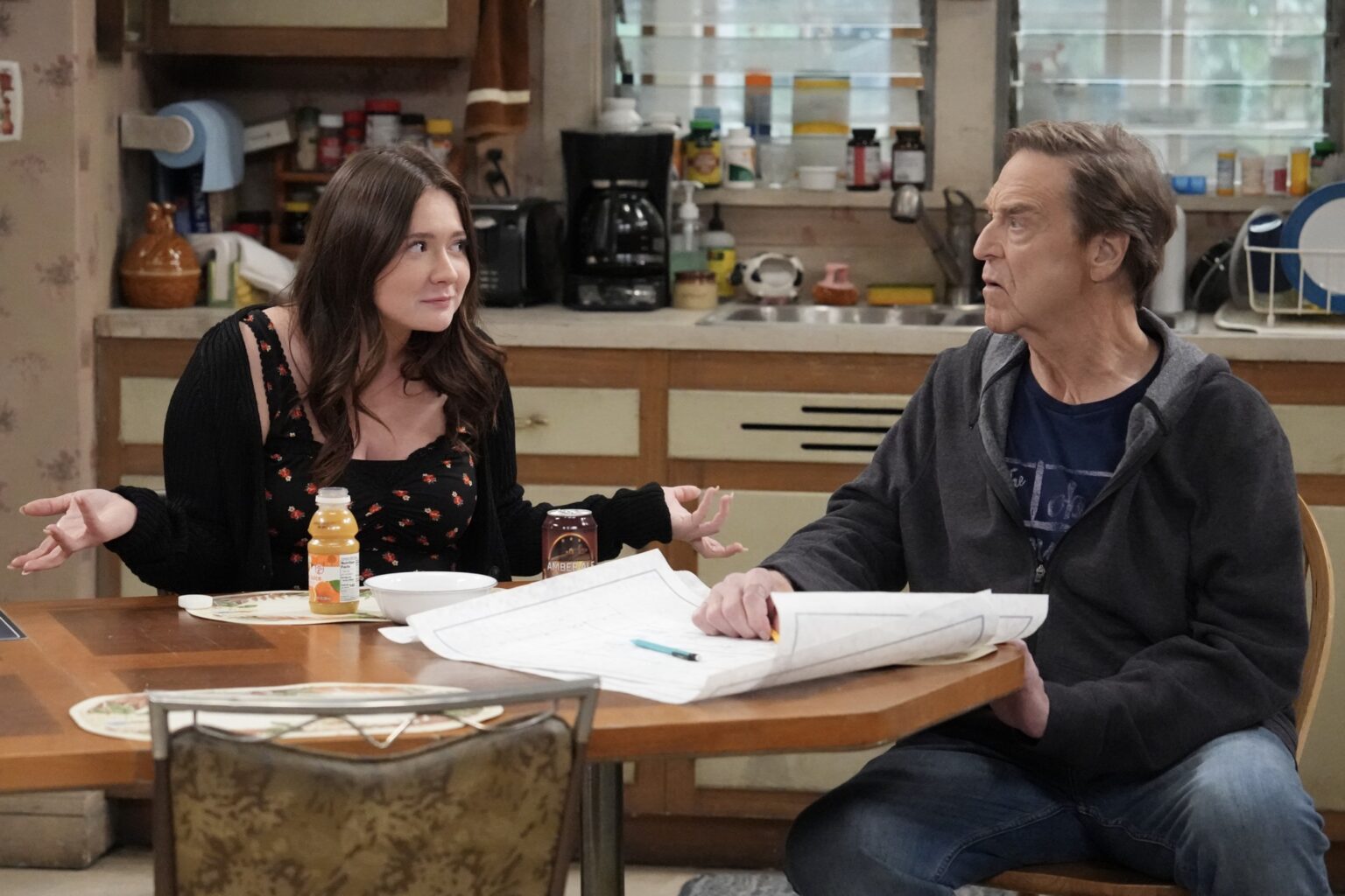 THE CONNERS Season 5 Episode 5 Photos A Little Weed And A Bad Seed ...