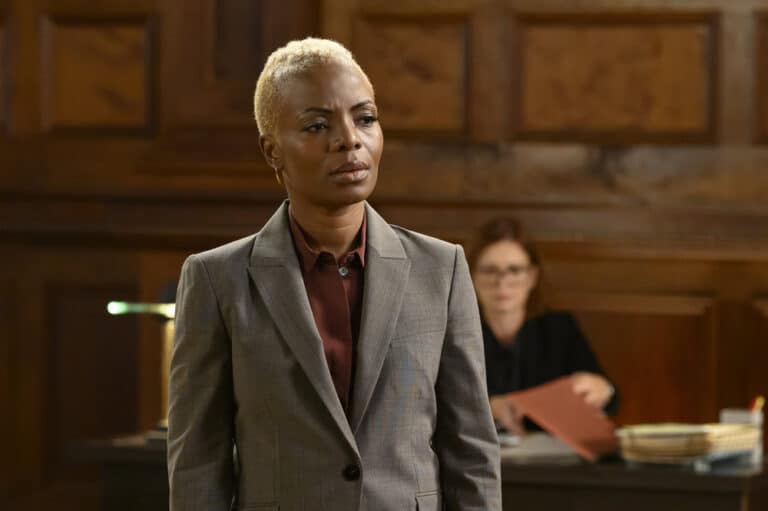 LAW AND ORDER Season 22 Episode 8 Photos Chain Of Command | Seat42F