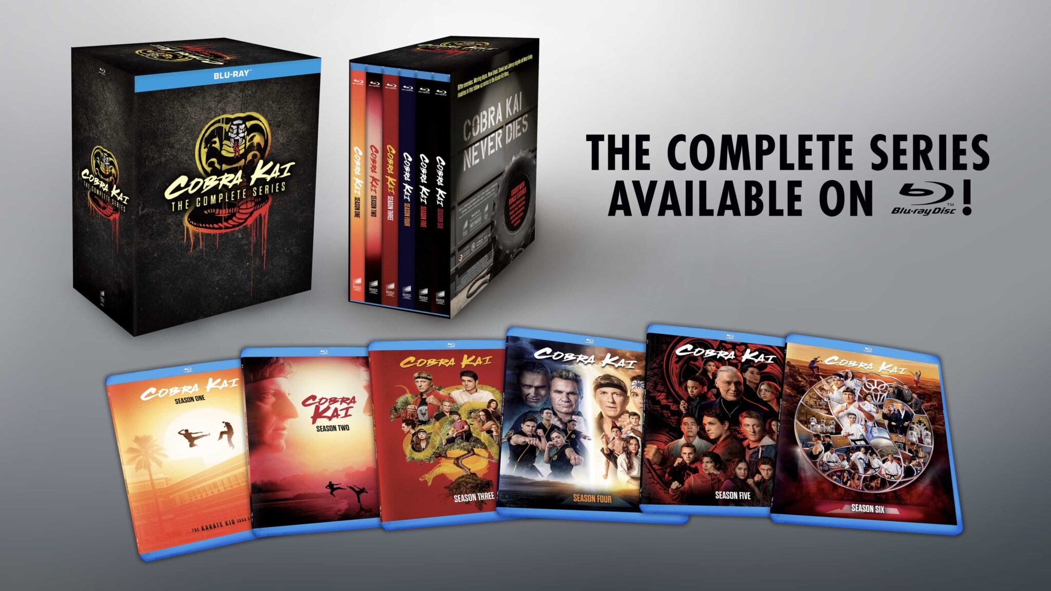 COBRA KAI: The Complete Series 13 Disc Set Available March 3rd | Seat42F